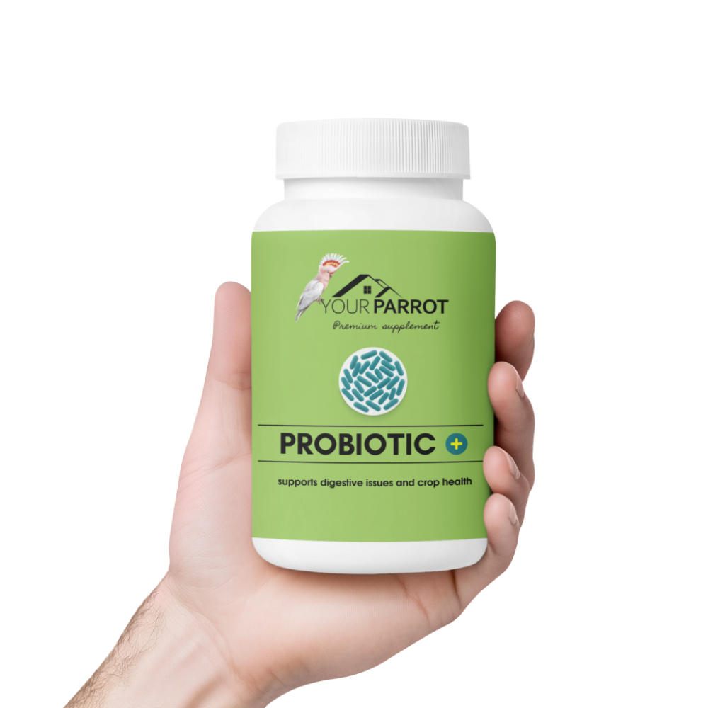 Your Parrot Probiotic Plus - 500g – Fiora Aquatic